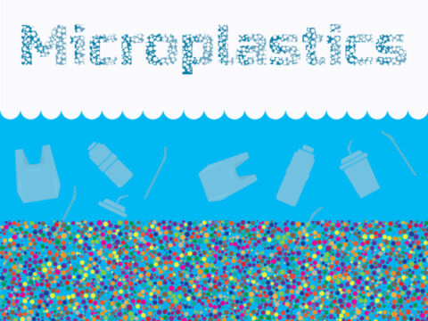 Microplastics are here, there, and everywhere - Eco Partners, Inc.